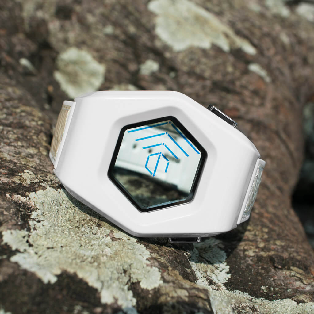 Transparent Watch | Spider Acetate | Tokyoflash Japan