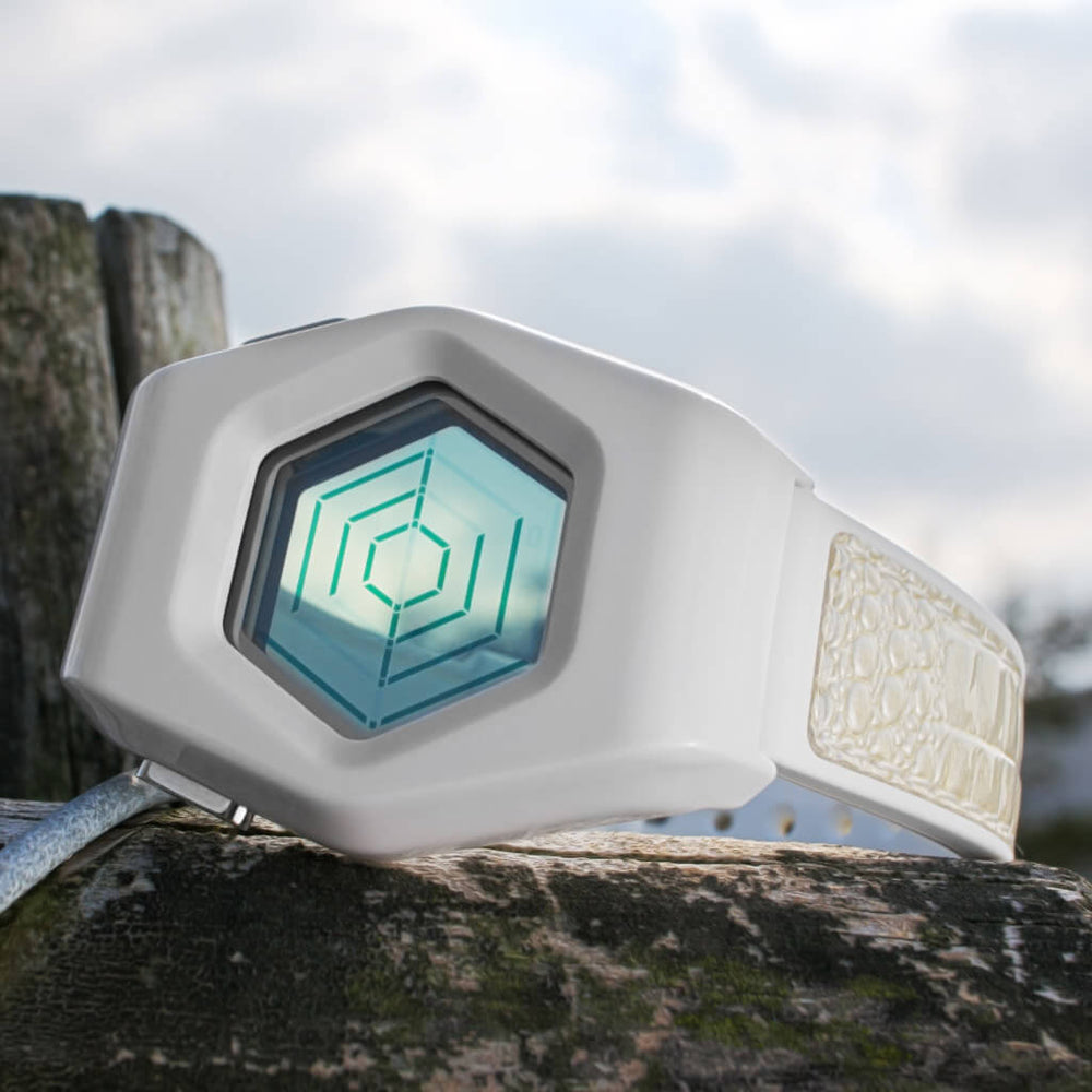 Transparent Watch | Spider Acetate | Tokyoflash Japan